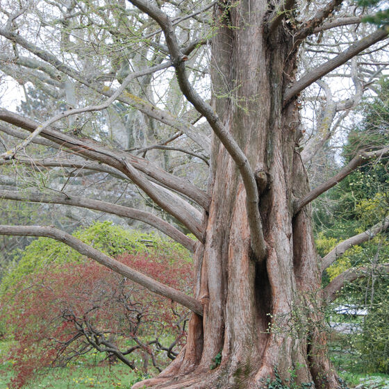 RPI Loccum – Impulsbilder für den Unterricht